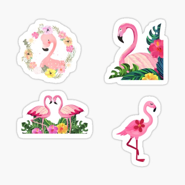 "Cute flamingo bird" Sticker for Sale by maamesaa | Redbubble