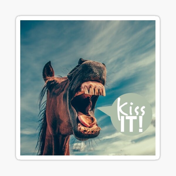 "Kiss It! " Sticker for Sale by BabyTtees | Redbubble