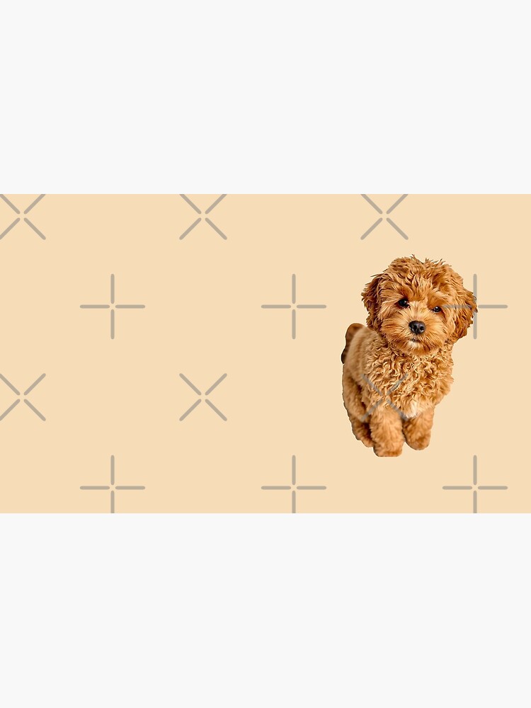 "Cavapoo" Coffee Mug for Sale by thecavapootales | Redbubble