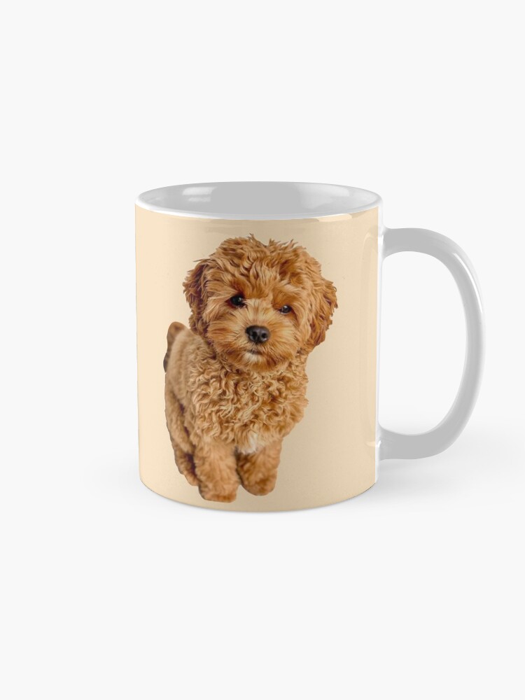 "Cavapoo" Coffee Mug for Sale by thecavapootales | Redbubble
