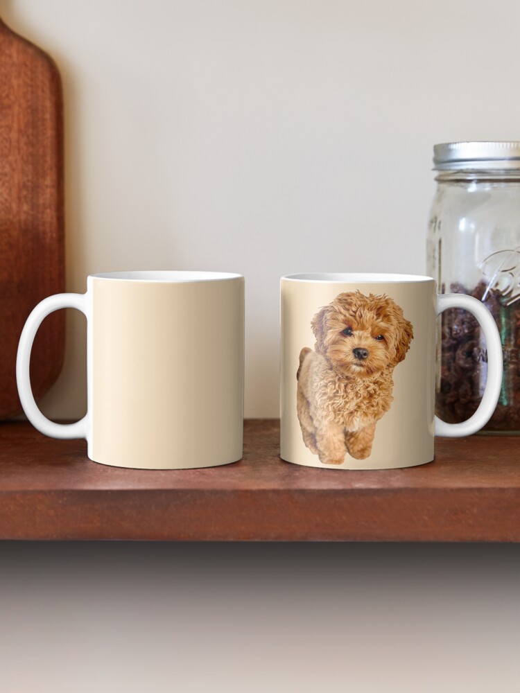 "Cavapoo" Coffee Mug for Sale by thecavapootales | Redbubble