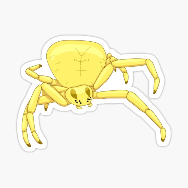 "Little Goldenrod Crab Spider" Sticker for Sale by LilacLynx | Redbubble