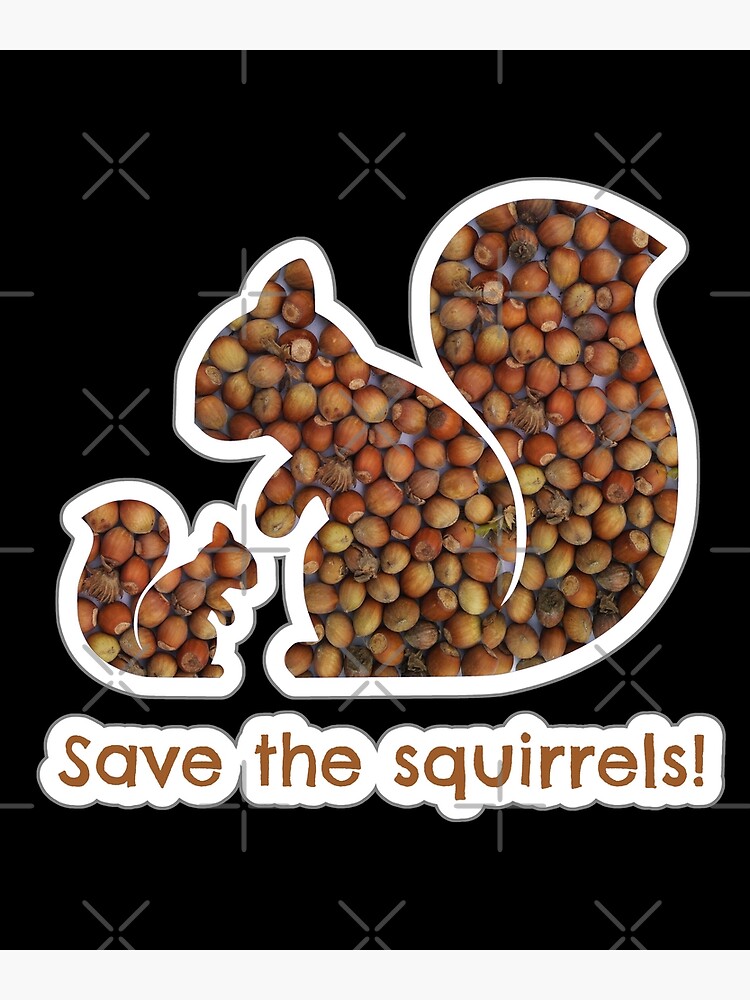 "Save the Squirrels! Sticky Design, Mother and Baby Squirrels ...