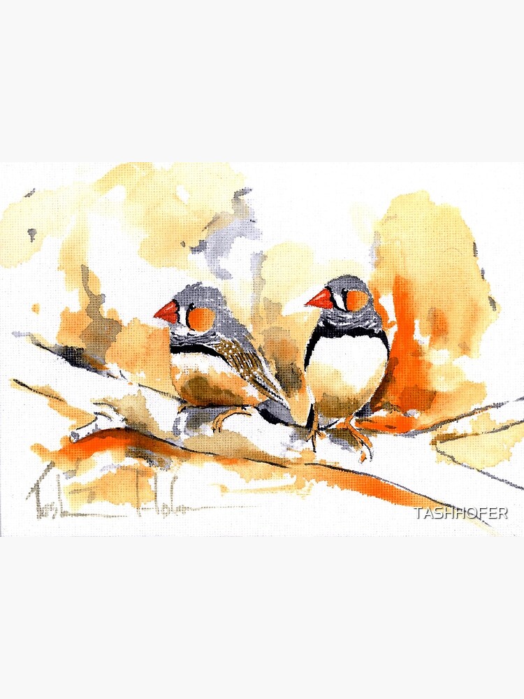 "Zebra Finches" Poster by TASHHOFER | Redbubble
