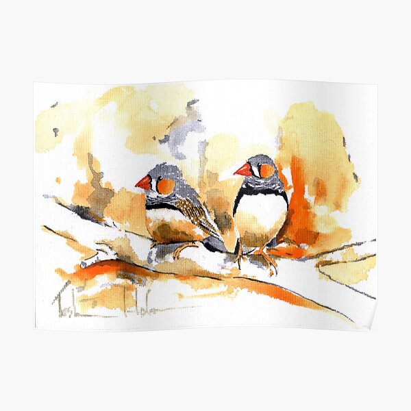 "Zebra Finches" Poster by TASHHOFER | Redbubble