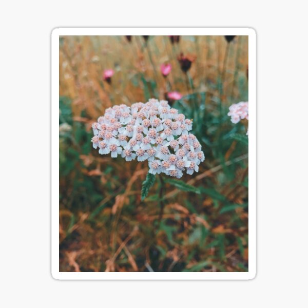 Celina S. Shop | Redbubble