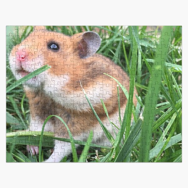 Adorable Hamster Jigsaw Puzzles | Redbubble