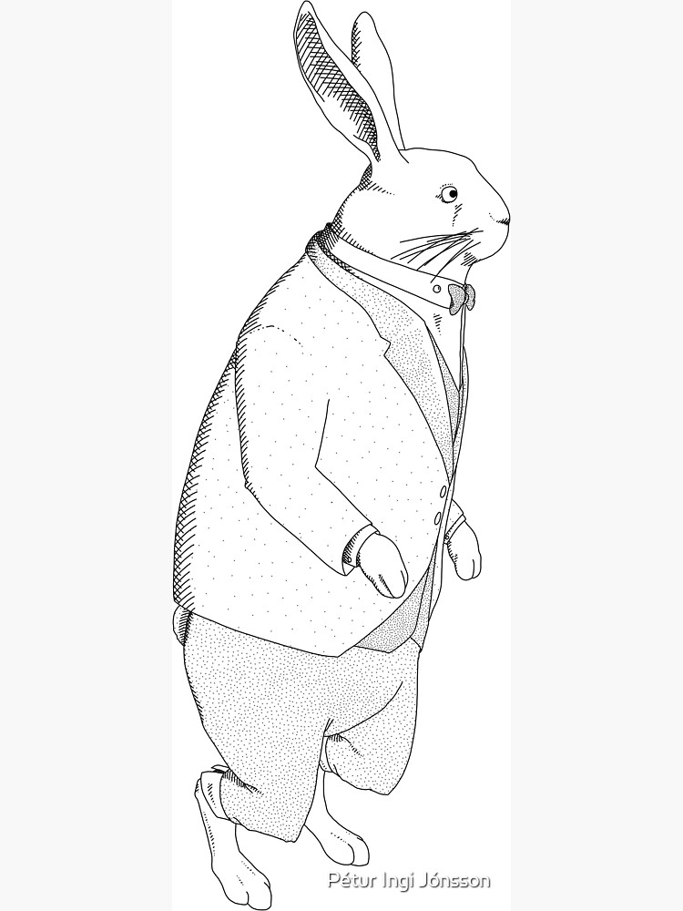 "March Hare" Magnet for Sale by peturartwork | Redbubble