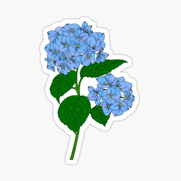"Baby Blue Hydrangea " Sticker for Sale by Maddie-iceee | Redbubble
