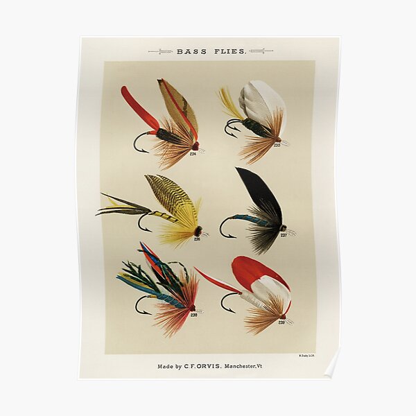 "Bass Flies" Poster for Sale by CornerGage | Redbubble