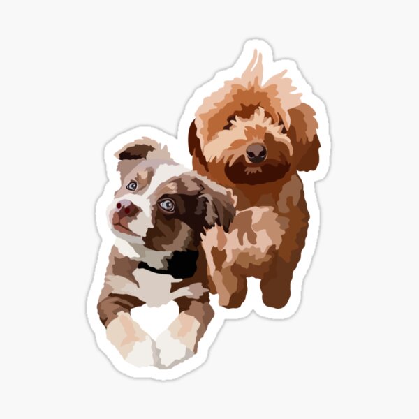 "Mini Aussie and Mini Doodle Dog Portrait Digital Illustration" Sticker ...