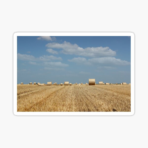 "agriculture field with straw bale" Sticker for Sale by goceris | Redbubble