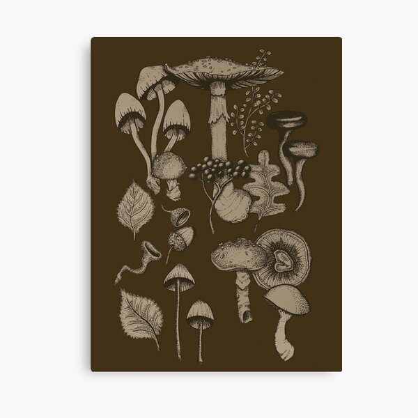 Prints Goblincore Printable Wall Art SDCL1-3SET8 Dark Academia Decor 3 ...