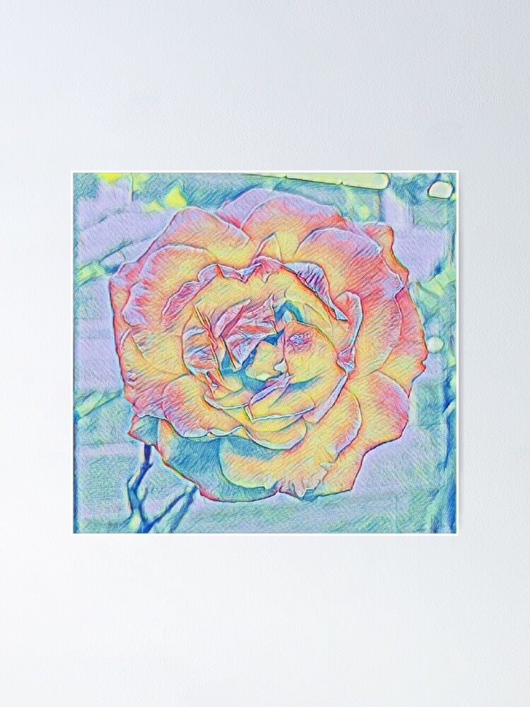 "Hope rose drawing" Poster by rich-jam | Redbubble