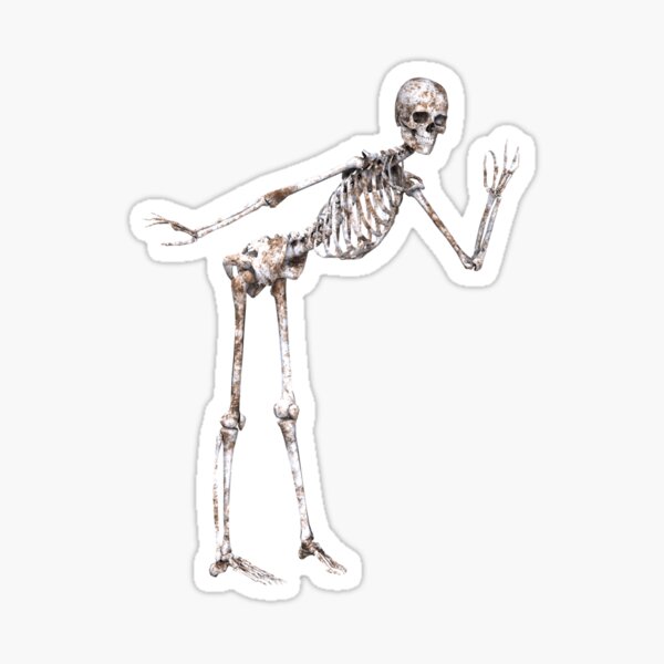 "Skeleton #1" Sticker for Sale by sarahhbramley | Redbubble