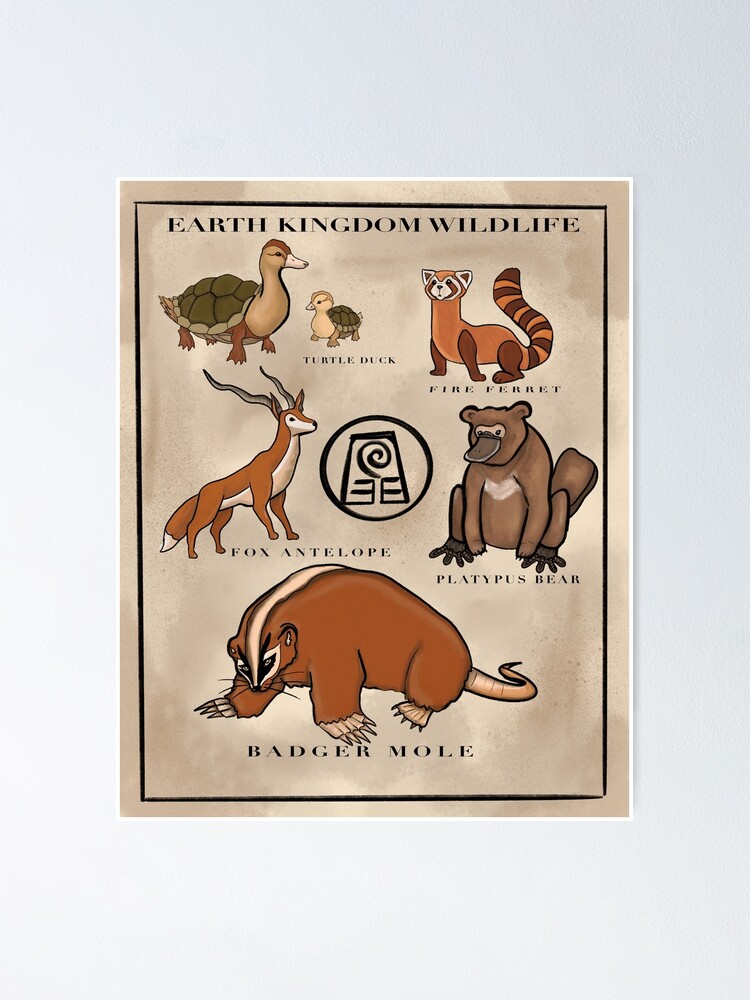 "Earth Kingdom Fauna Chart" Poster for Sale by sarahdipity | Redbubble