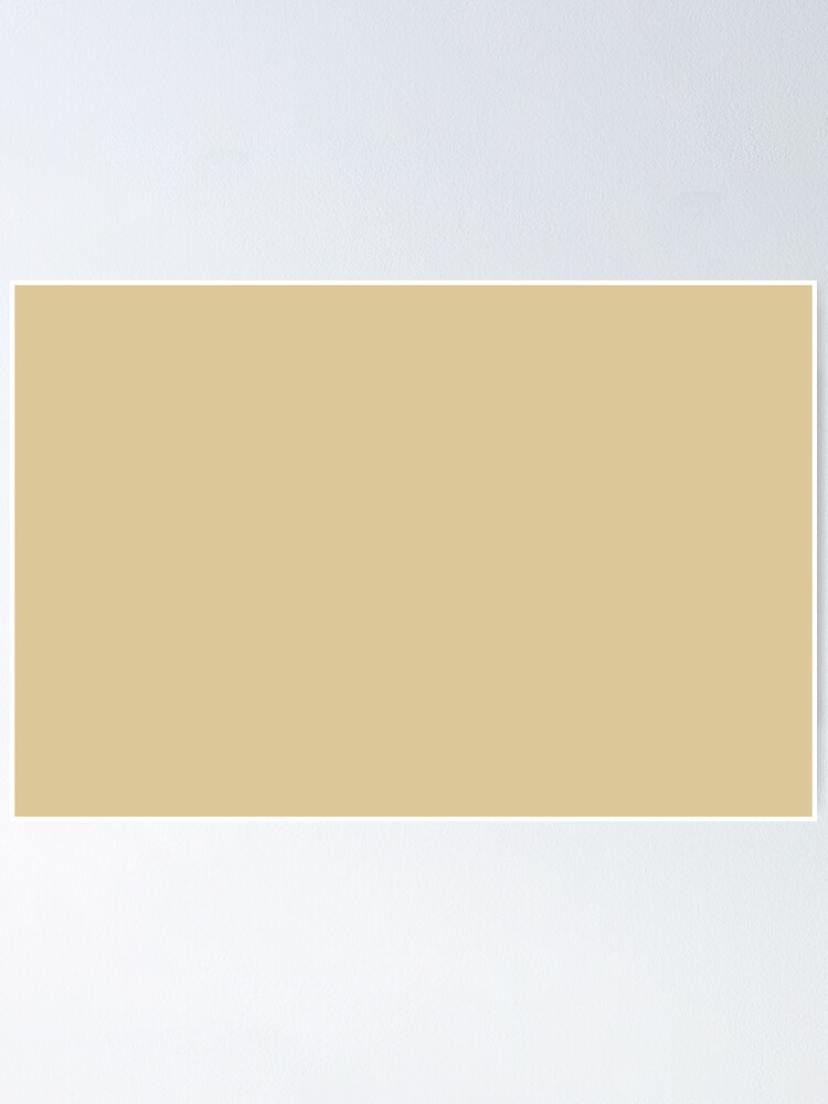"At Peace Neutral Light Beige Solid Color Sherwin Williams Pale Moss SW ...