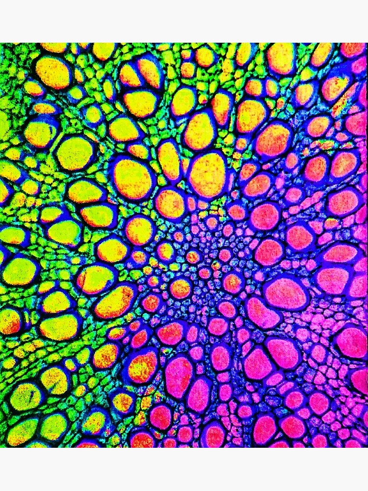 "plant tissues" Poster for Sale by Bees11 | Redbubble