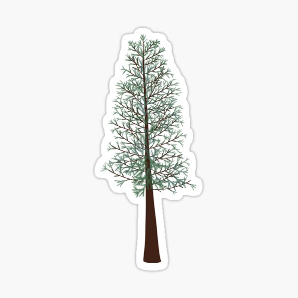 "Californian Coast Redwood Tree (Sequoia Sempervirens)" Sticker for ...