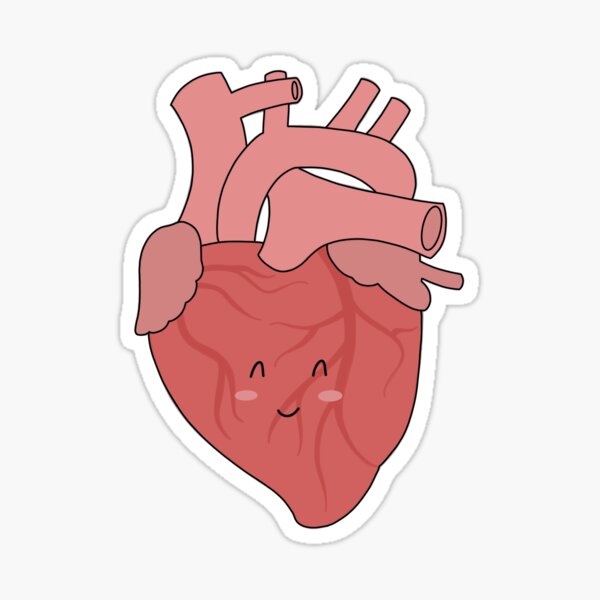 "Happy Heart Sticker" Sticker for Sale by samw-creations | Redbubble