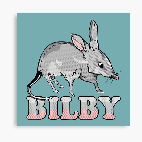 "Bilby" Canvas Print for Sale by piedaydesigns | Redbubble