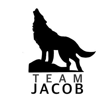 Team Jacob Logo BDPWSS TW Inspired Gift Team Jacob Cosmetic Bags For
