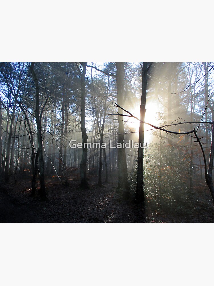 "Breaking through" Poster by Llawphotography | Redbubble