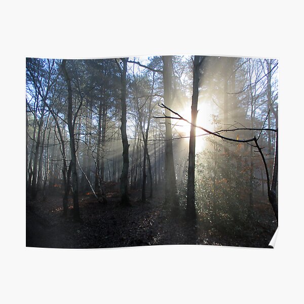 "Breaking through" Poster by Llawphotography | Redbubble