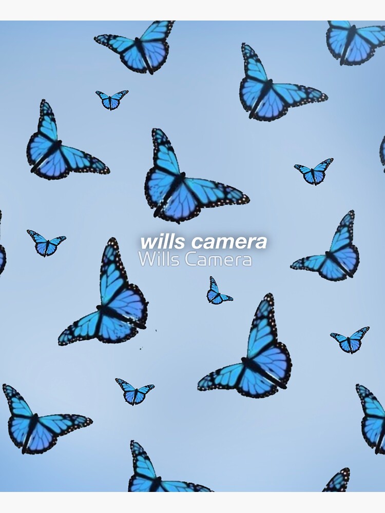 "wills camera butterfly collection" Sticker by willb13 | Redbubble