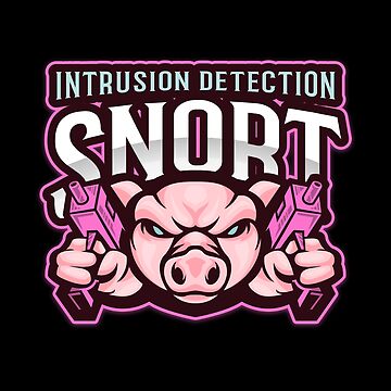 "SNORT - Network Intrusion Detection - Cyber security" Essential T ...