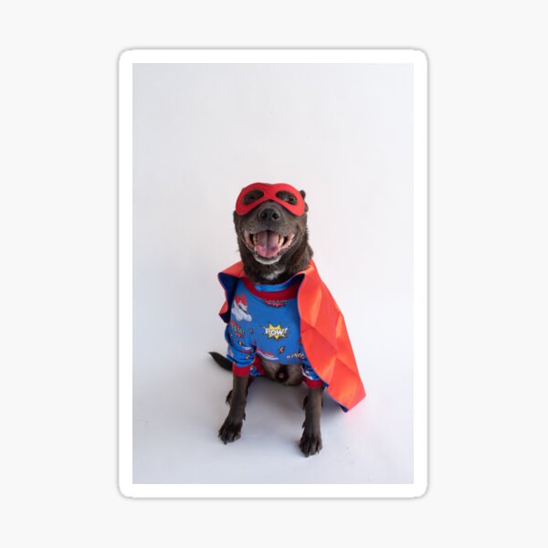 "Ranger Danger Super Pup" Sticker for Sale by MonicaWayne | Redbubble