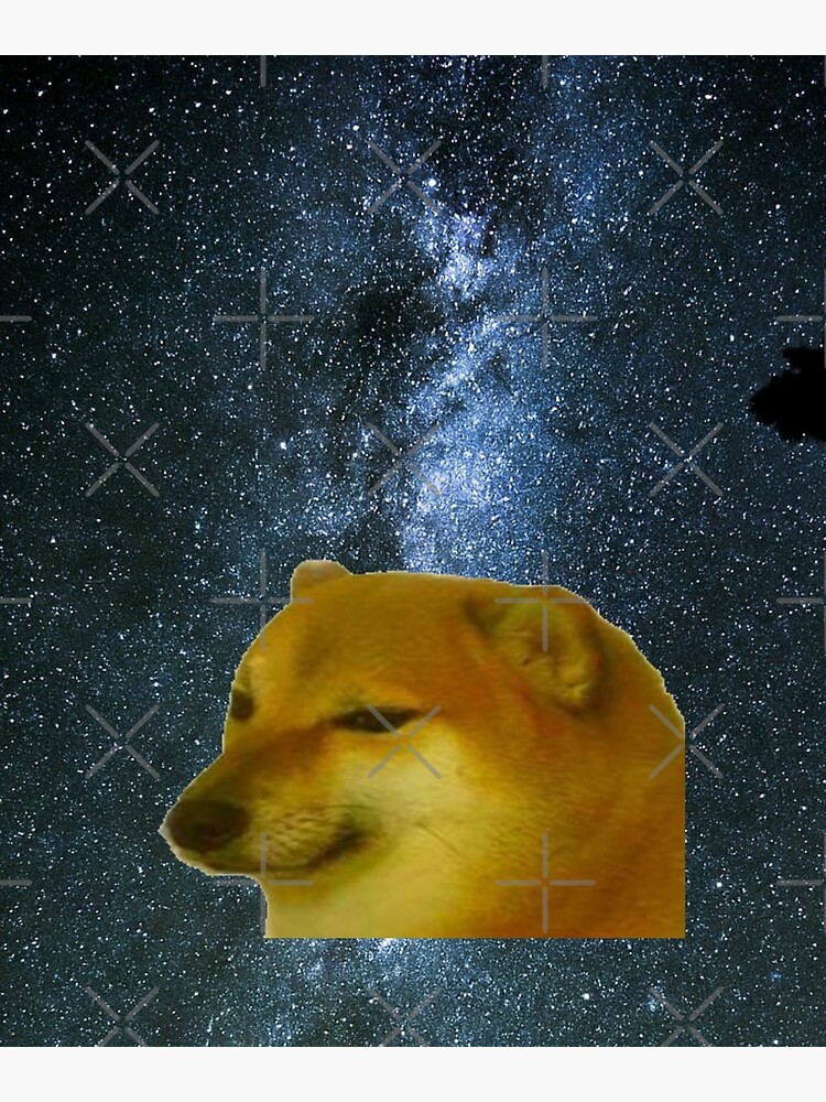 Lámina fotográfica «Cabeza de Cheems en el espacio» de SciathDe | Redbubble