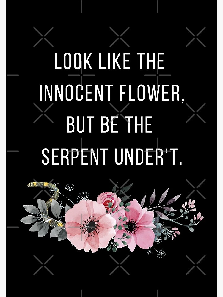 Macbeth Quotes Lady Macbeth Quote Look Like The Innocent Flower"