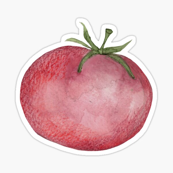 " Tomato Sticker " Sticker for Sale by SophiDominguez | Redbubble