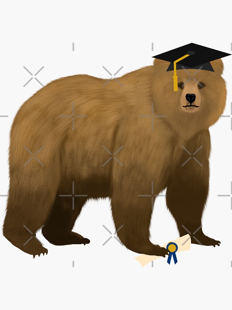 "Graduation Bear" Sticker for Sale by cmd-art | Redbubble
