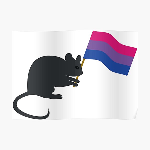 Bisexual Pride Rat Posters | Redbubble