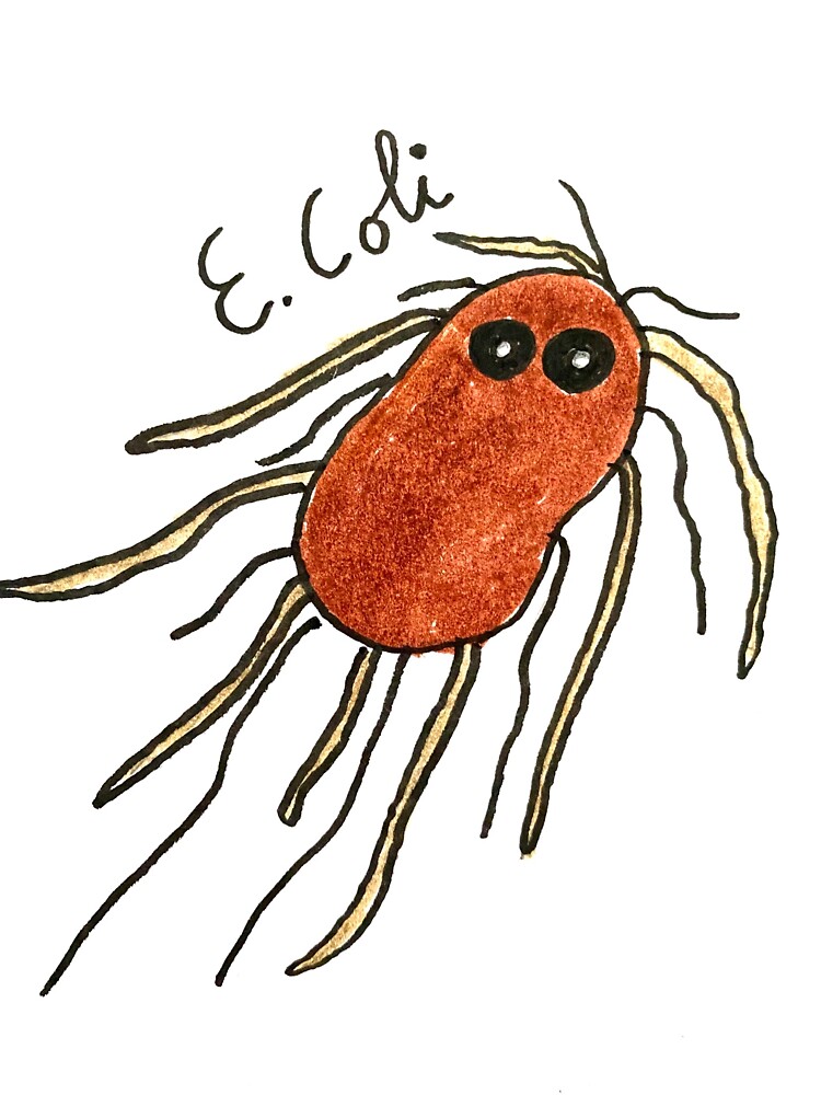 "Cute E. Coli microbiology" Sticker for Sale by Microbiogirl | Redbubble