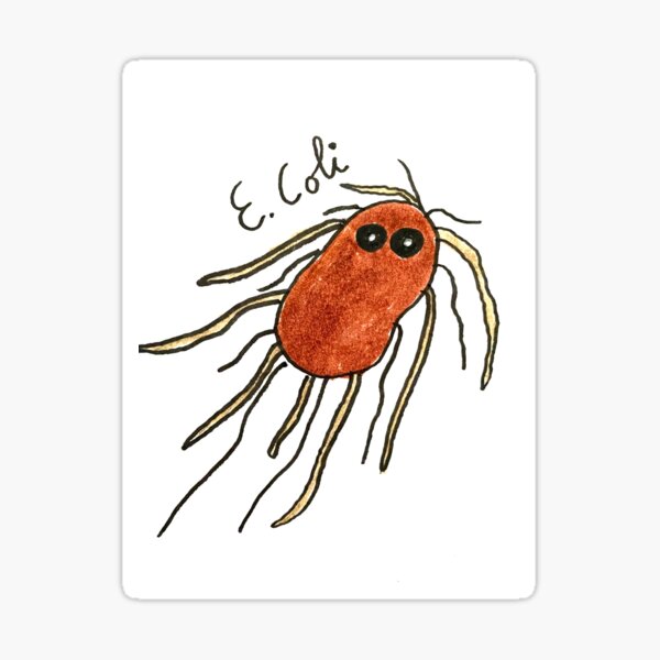 "Cute E. Coli microbiology" Sticker for Sale by Microbiogirl | Redbubble