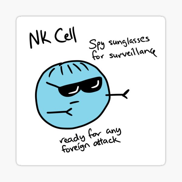 "NK Cell" Sticker for Sale by alexicat | Redbubble