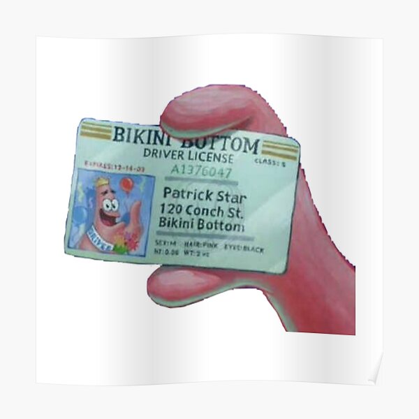 Póster «licencia de conducir de patrick star» de farahshabanaa | Redbubble