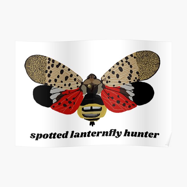 "Spotted Lanternfly" Poster by radiantdark | Redbubble