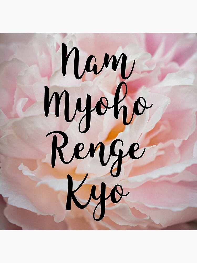 "Nam Myoho Renge Kyo Pink Flowers and Petals" Poster by GDMcreative ...