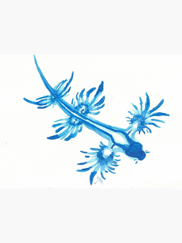 "Glaucus Atlanticus" Sticker for Sale by domtheswick | Redbubble