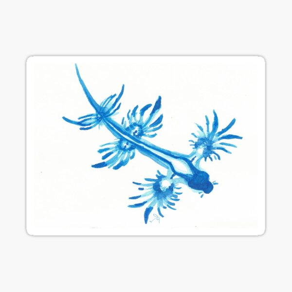"Glaucus Atlanticus" Sticker for Sale by domtheswick | Redbubble