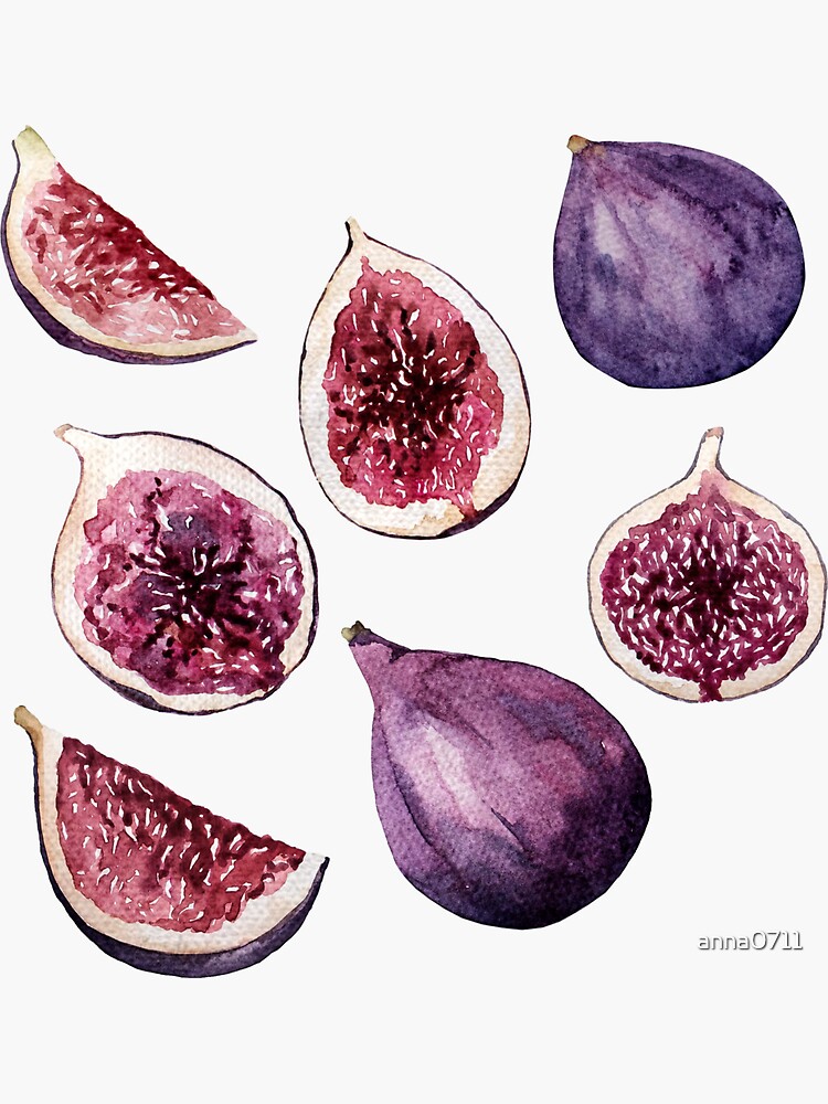 "Set of figs stickers" Sticker by anna0711 | Redbubble