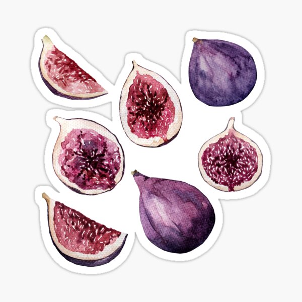 "Set of figs stickers" Sticker by anna0711 | Redbubble
