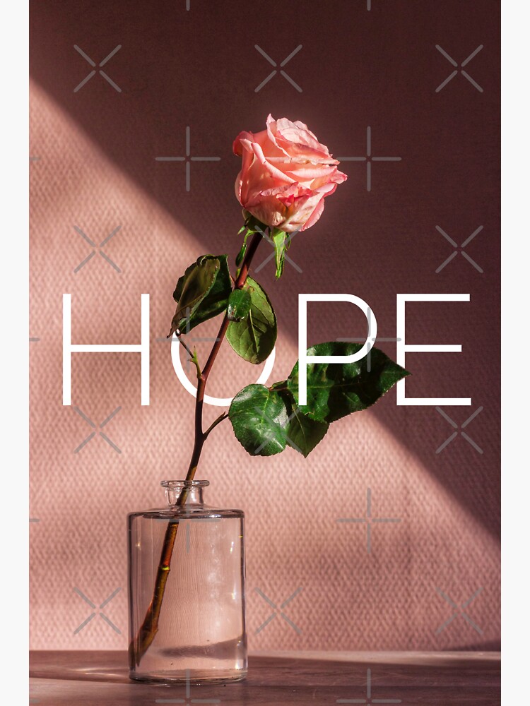 "Hope - blush pink rose aesthetic" Sticker for Sale by -yukti- | Redbubble