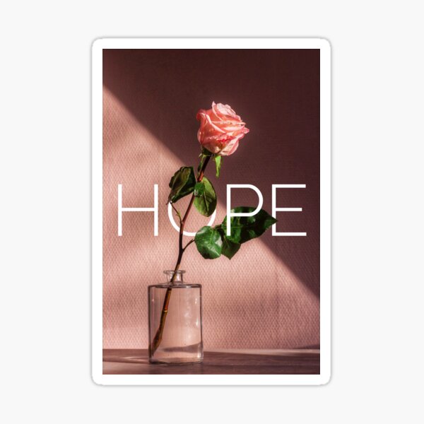 "Hope - blush pink rose aesthetic" Sticker for Sale by -yukti- | Redbubble