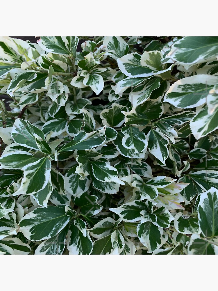 "September leaves " Sticker by out-the-box-art | Redbubble