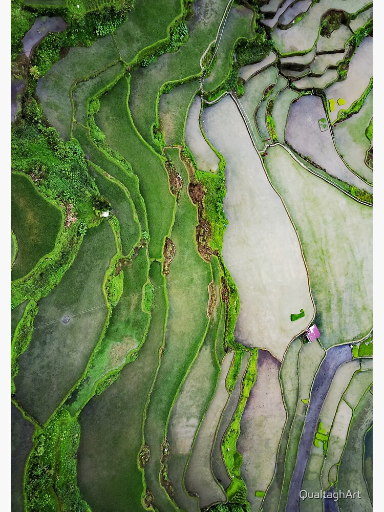 "Rice terraces " Sticker for Sale by QualtaghArt | Redbubble